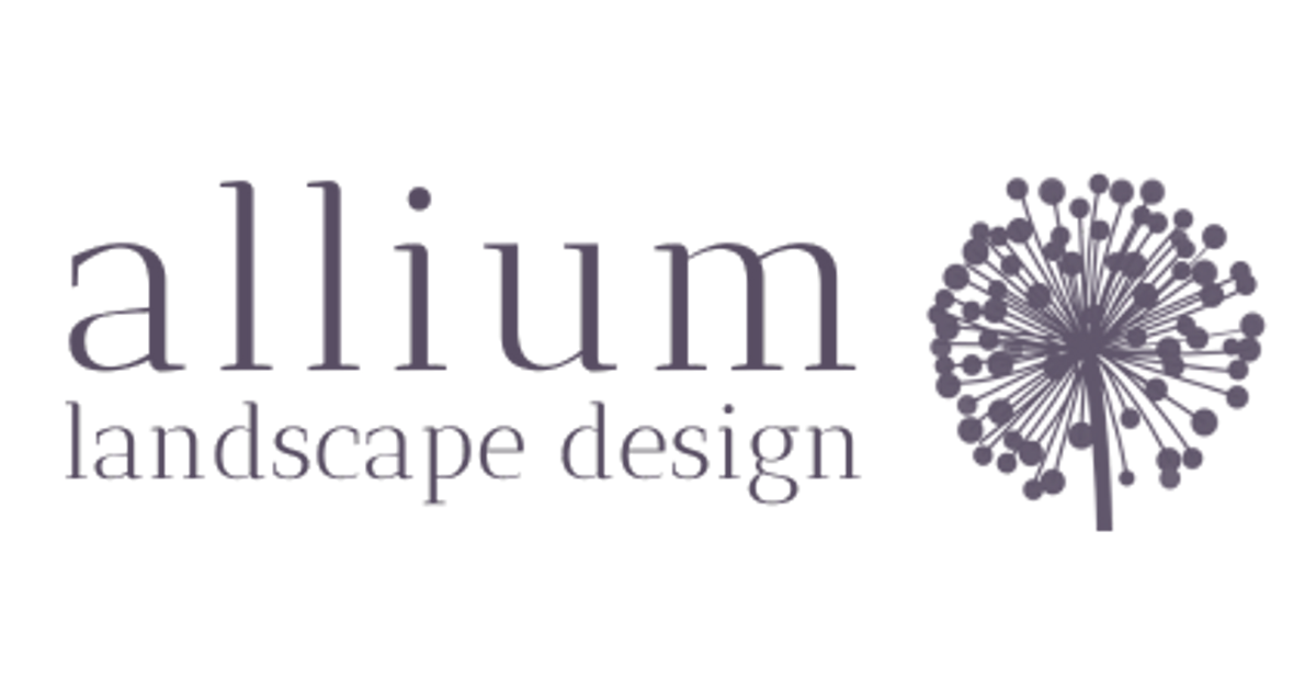My Design Process – allium landscape design